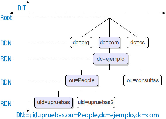 2.3.- Organización del directorio LDAP. | DAW05.- Servicios de red ...